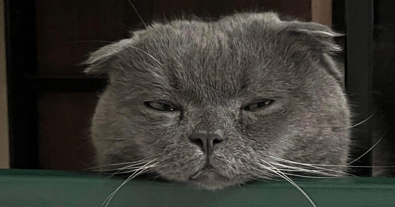 趣味の意味 ― 深い視点から｜feel_hiroki