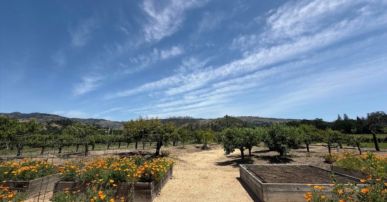 #227 日本スタートアップのグローバル成功のためのモデル｜ヨンロック (Youngrok Kim)