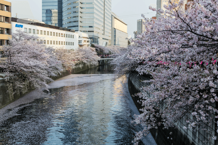 Tomoki Yamada｜note