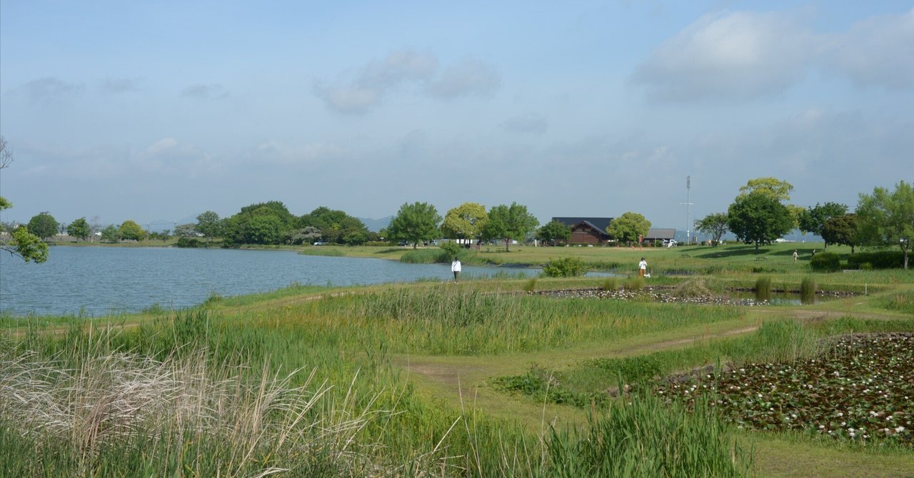 池のほとりを朝散歩｜komorebi_94