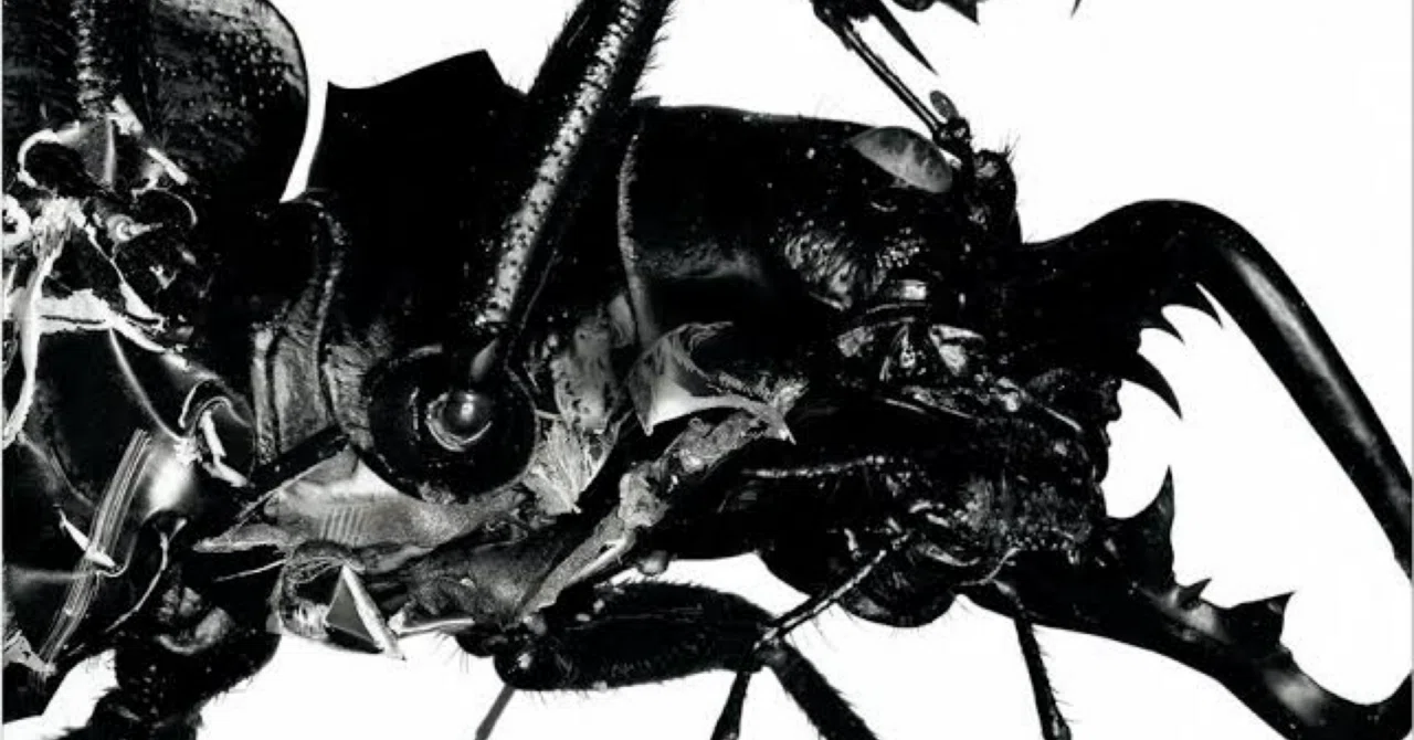 Massive Attack「Mezzanine」 01. Angel｜ナヤ