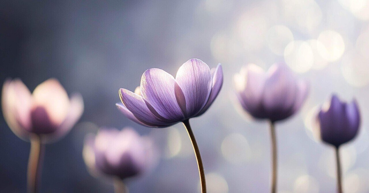 花みくじ｜Cosmic Suzu