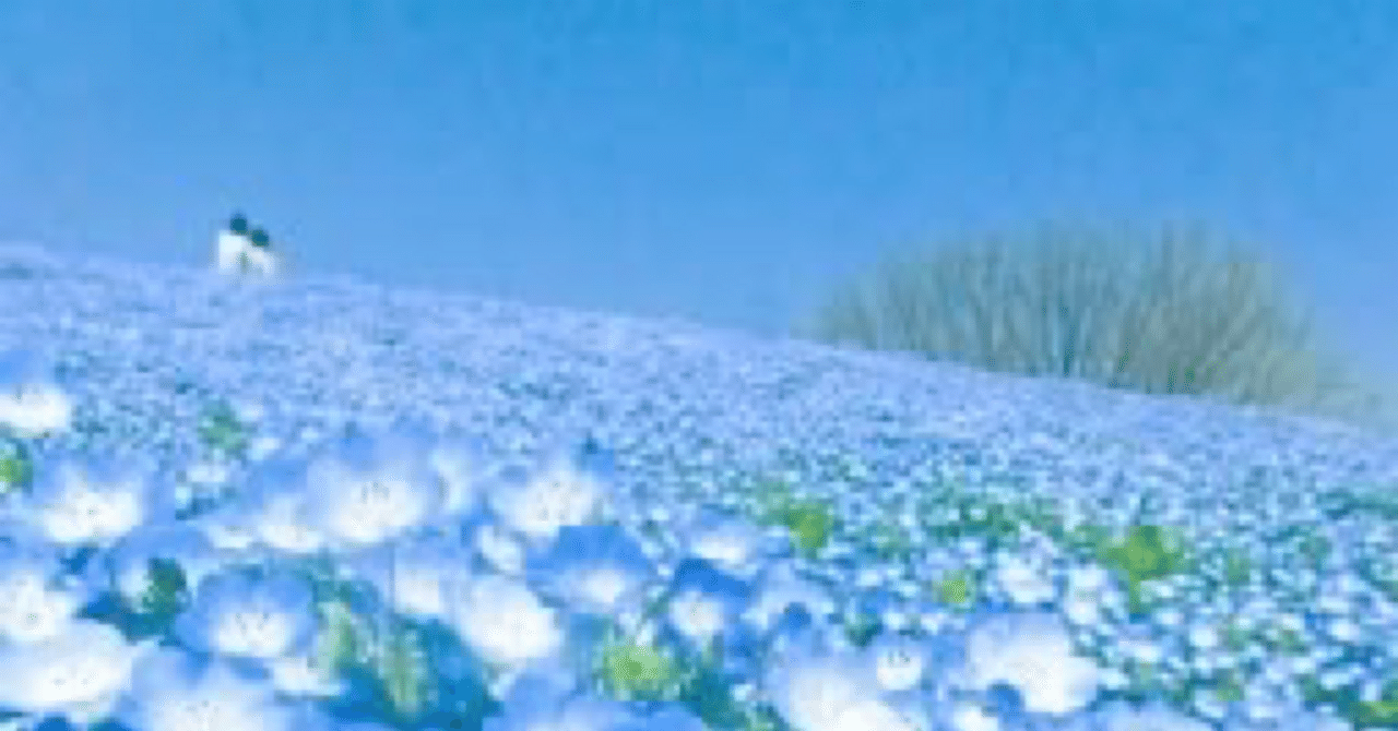 日記vol.4｜記憶の奏者ria-sora