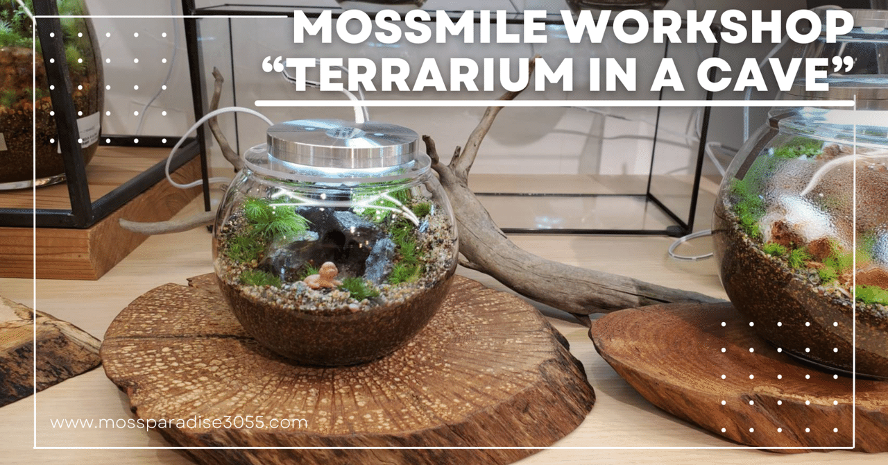MOSSMILE谷川さんのワークショップを受講してきたよ｜moss paradise3055（モスパラ）