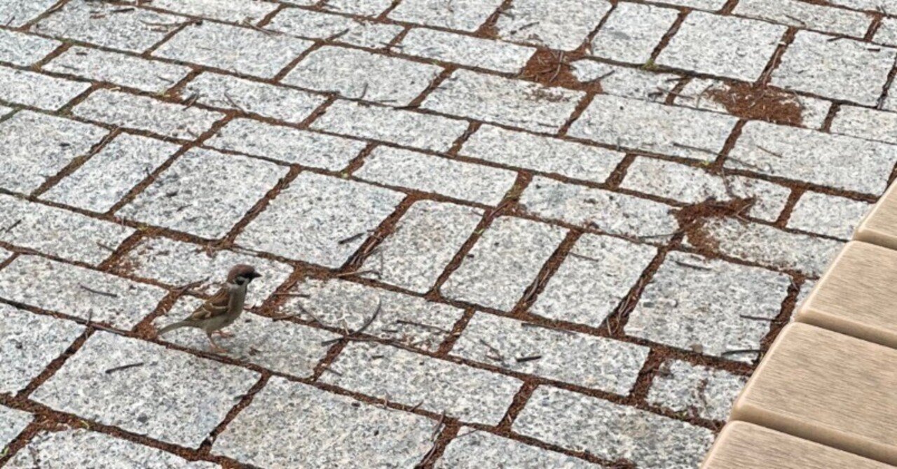 楽しくなってきた｜putoli