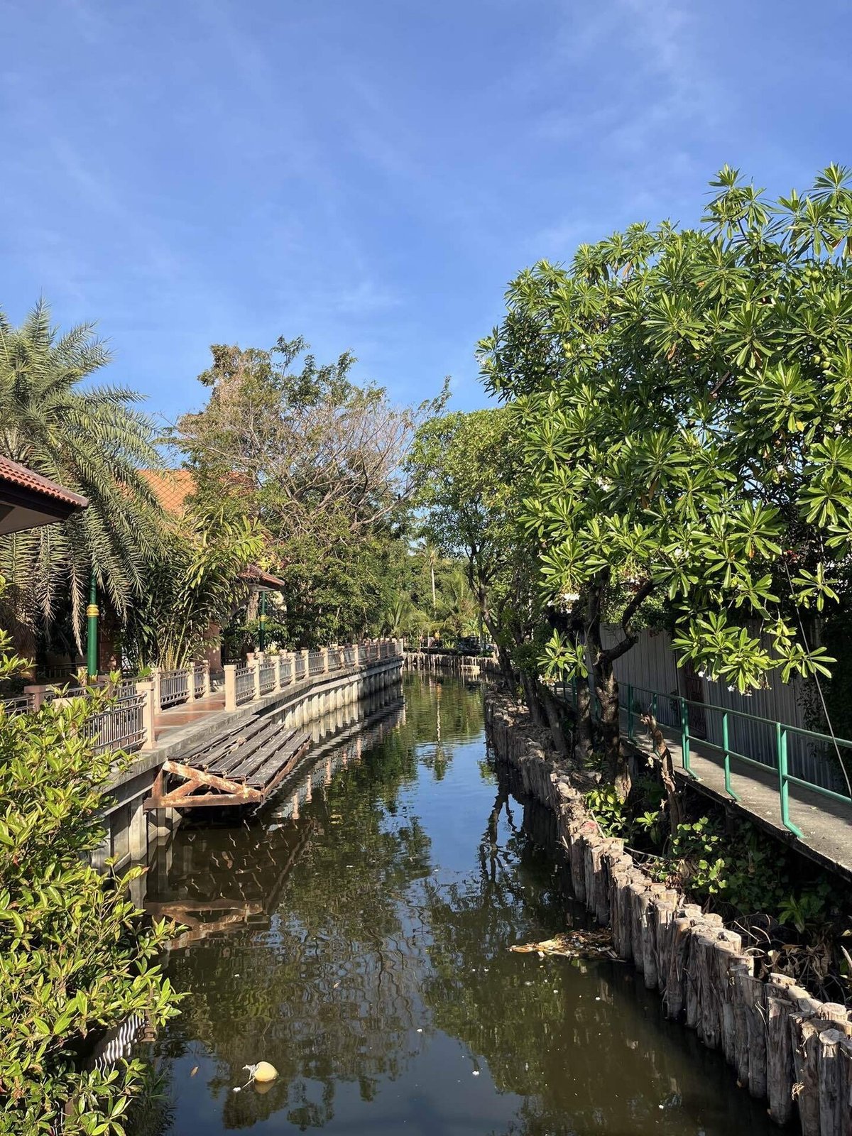 バンコク近郊遊び場🛝自然の中で思いっきり遊べる！Get Growing Community Farm🪵🌳｜Bua in Thailand