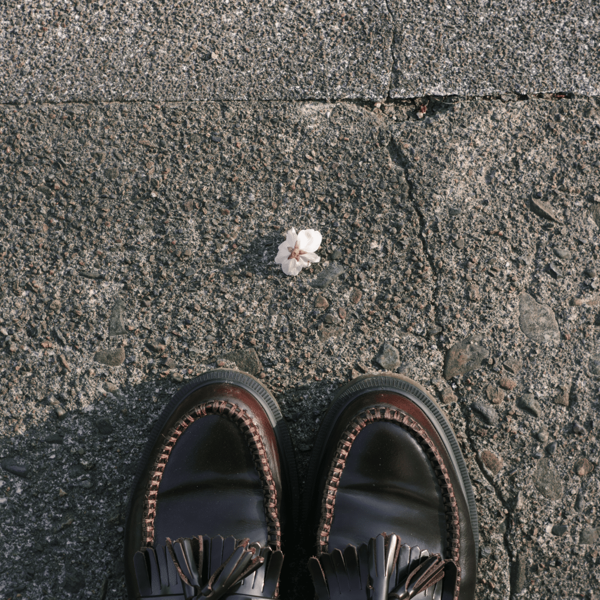 これから写真を始めるすべての人へ｜Masato__Photograph