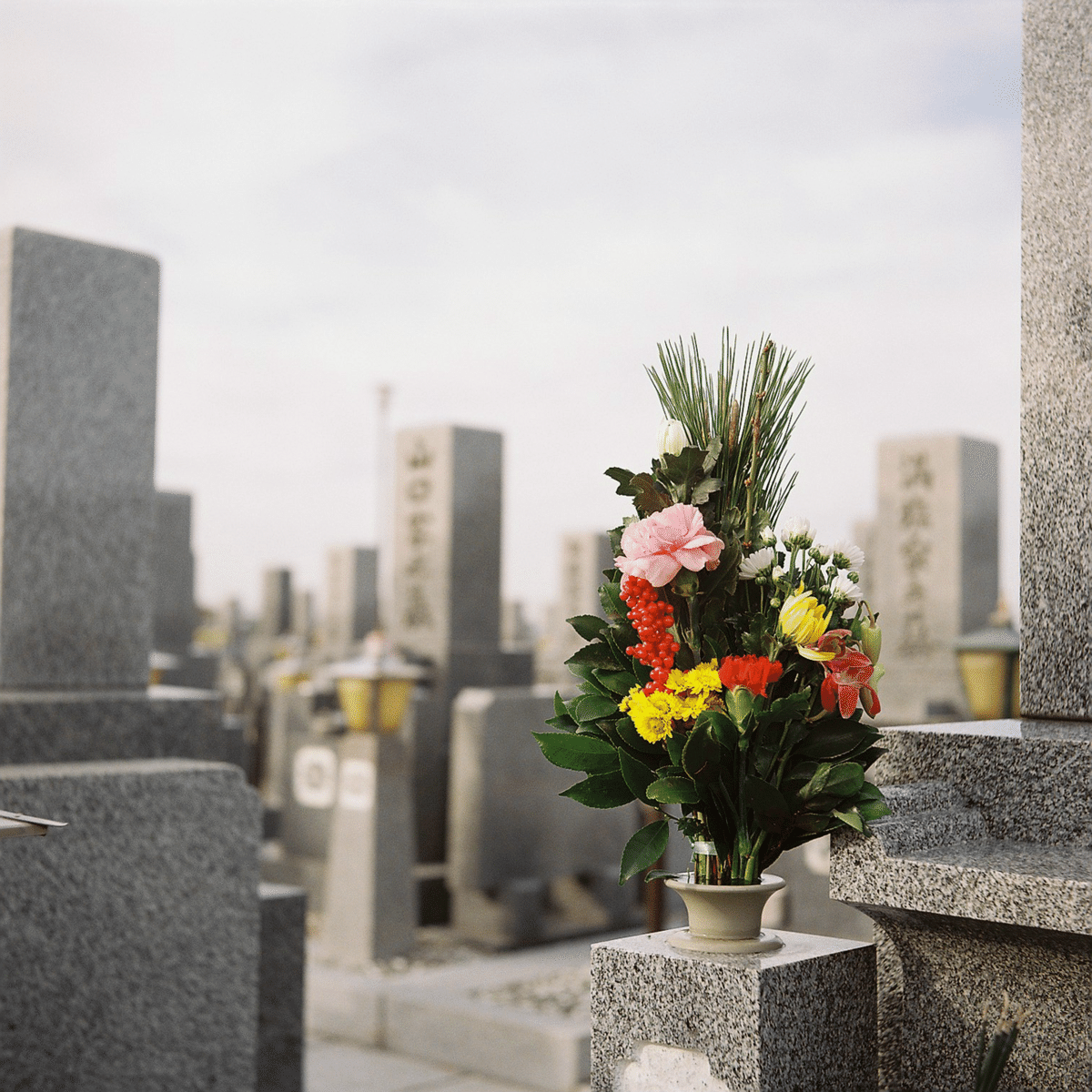 これから写真を始めるすべての人へ｜Masato__Photograph