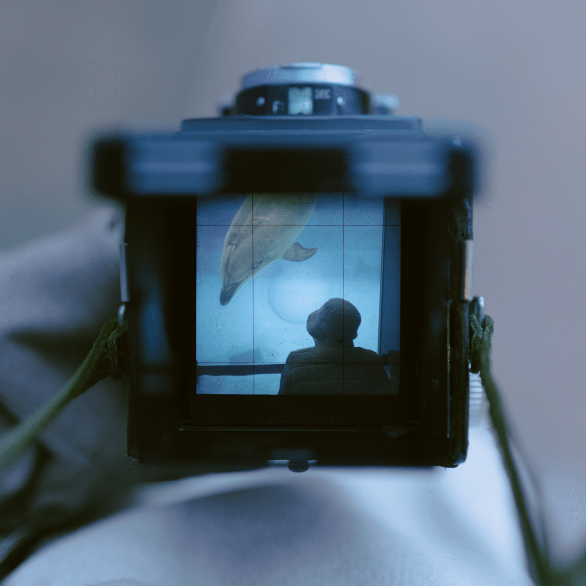 これから写真を始めるすべての人へ｜Masato__Photograph