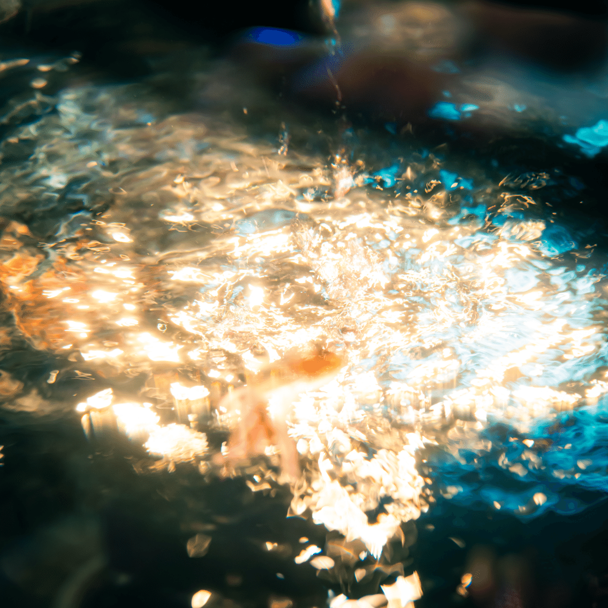 これから写真を始めるすべての人へ｜Masato__Photograph