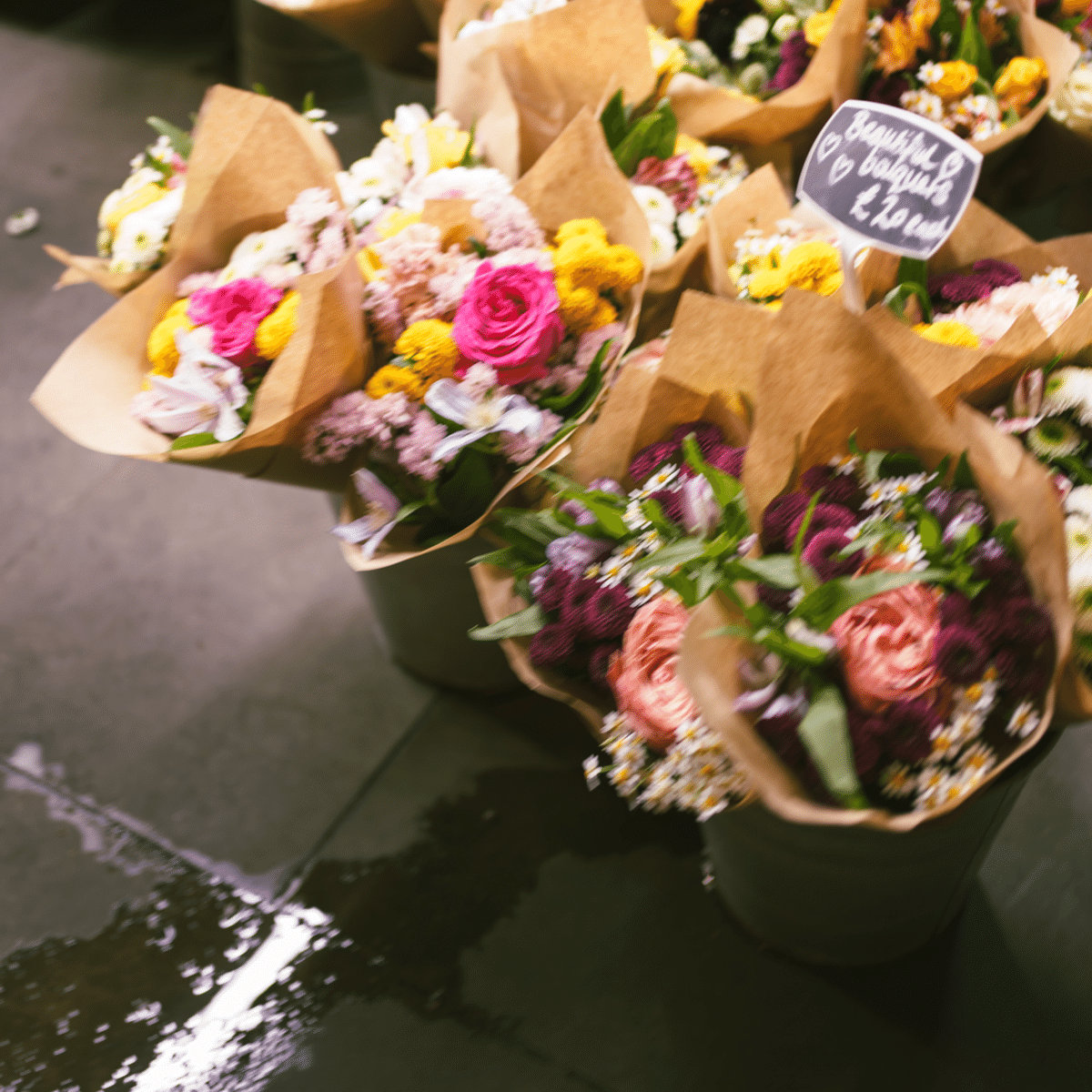 これから写真を始めるすべての人へ｜Masato__Photograph