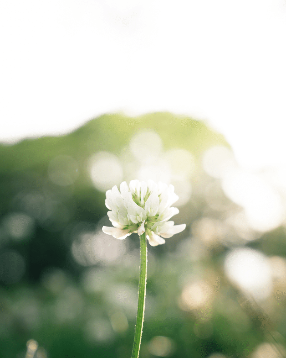 これから写真を始めるすべての人へ｜Masato__Photograph