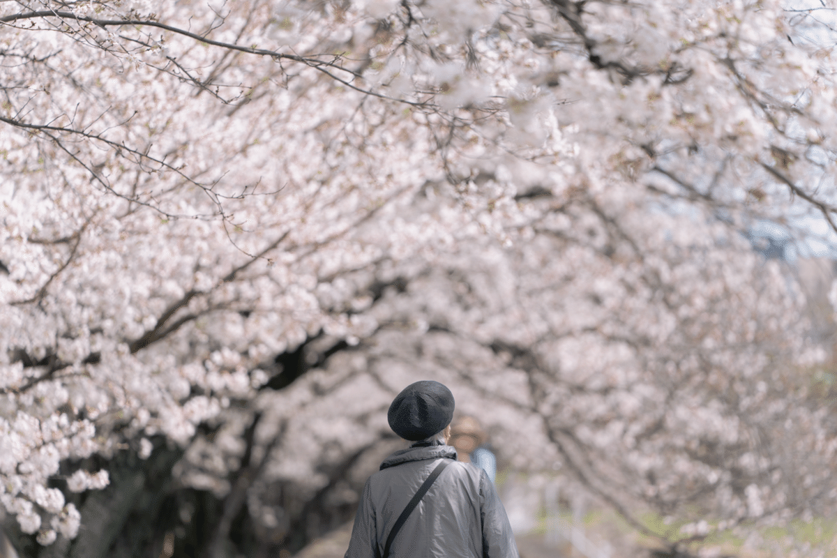 これから写真を始めるすべての人へ｜Masato__Photograph
