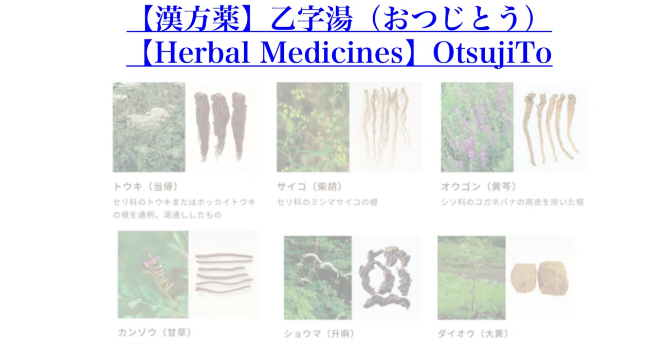 【漢方薬】乙字湯（おつじとう）【Herbal Medicines】OtsujiTo｜200im