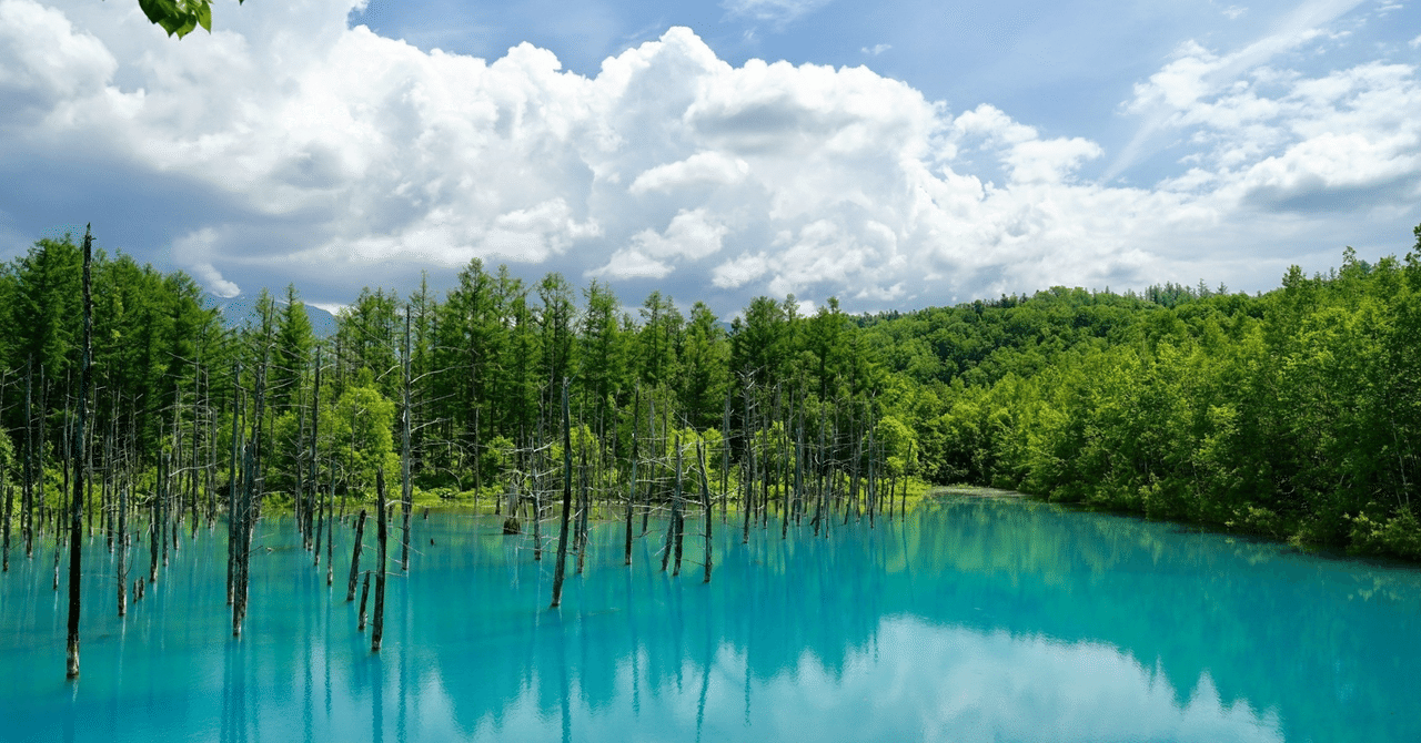 【高尿酸血症ーー放置するとどうなるか？】｜YUTA SATO