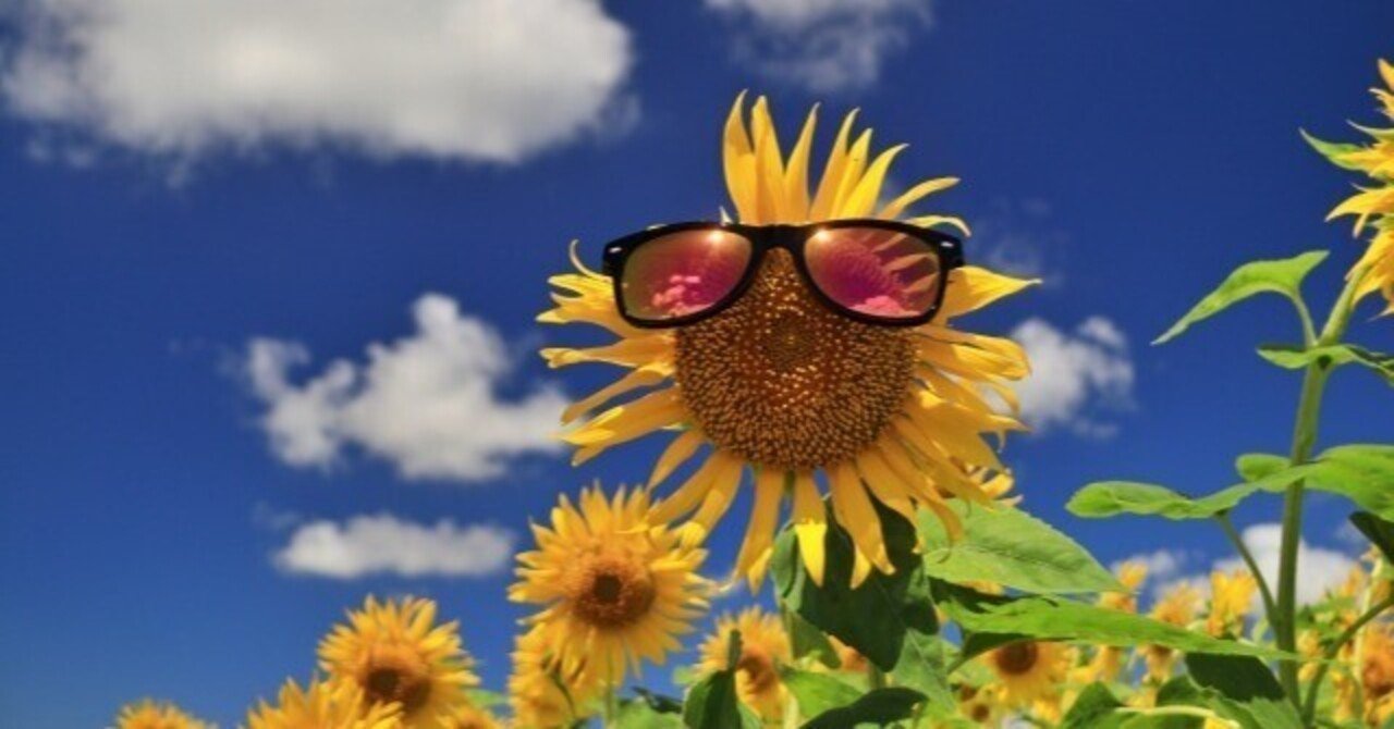 【FX】美しいを言語化する。｜roka/サイクル理論×値幅観測