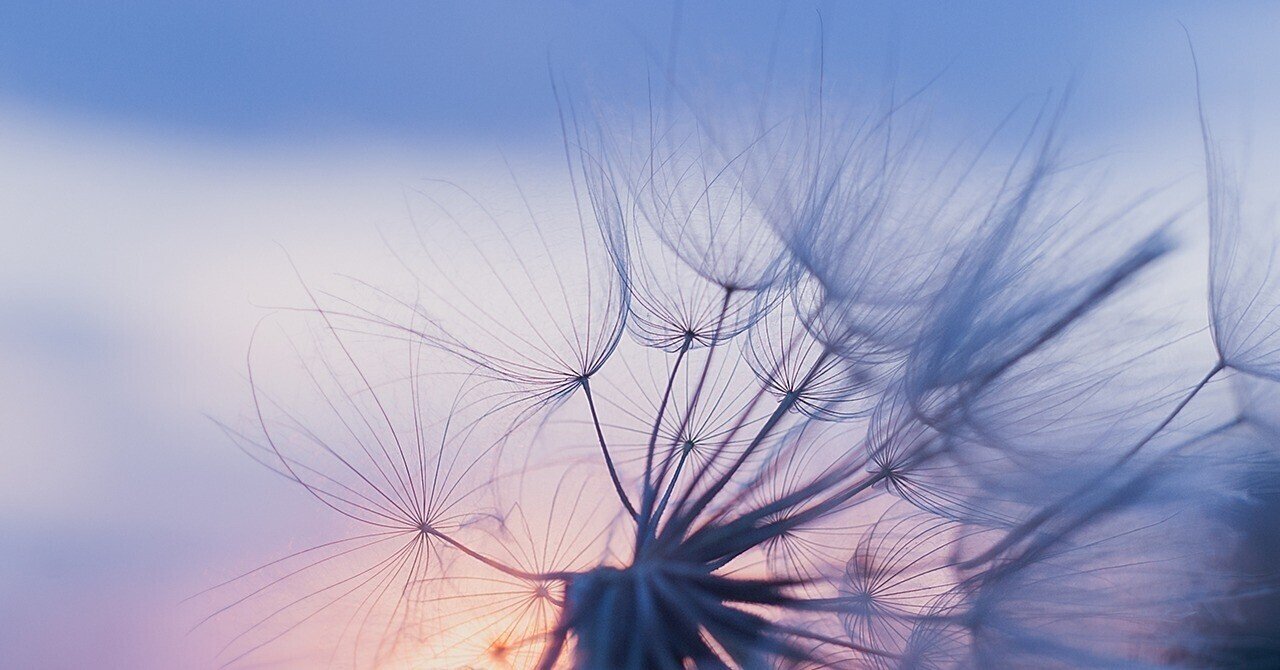 深く息ができるだけで全然違う：心身を整える呼吸の理論と実践【動画付き】｜SVAHA YOGA