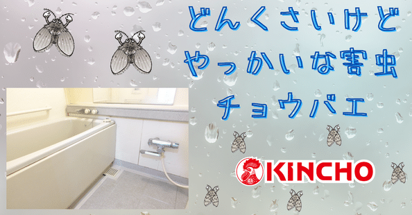 KINCHO 大日本除虫菊株式会社｜note