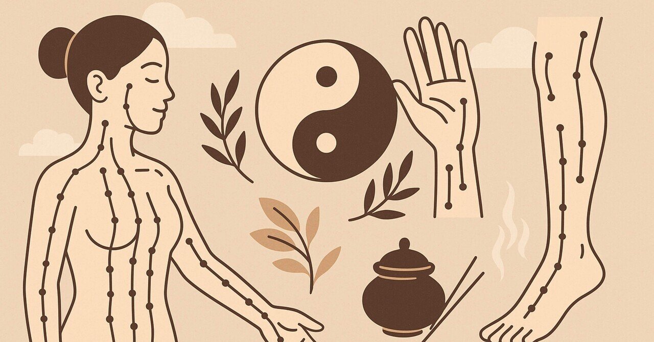 YOUGO📝 【経筋ストレッチとは？】｜cs60セラピストYOUGO(ユーゴ)