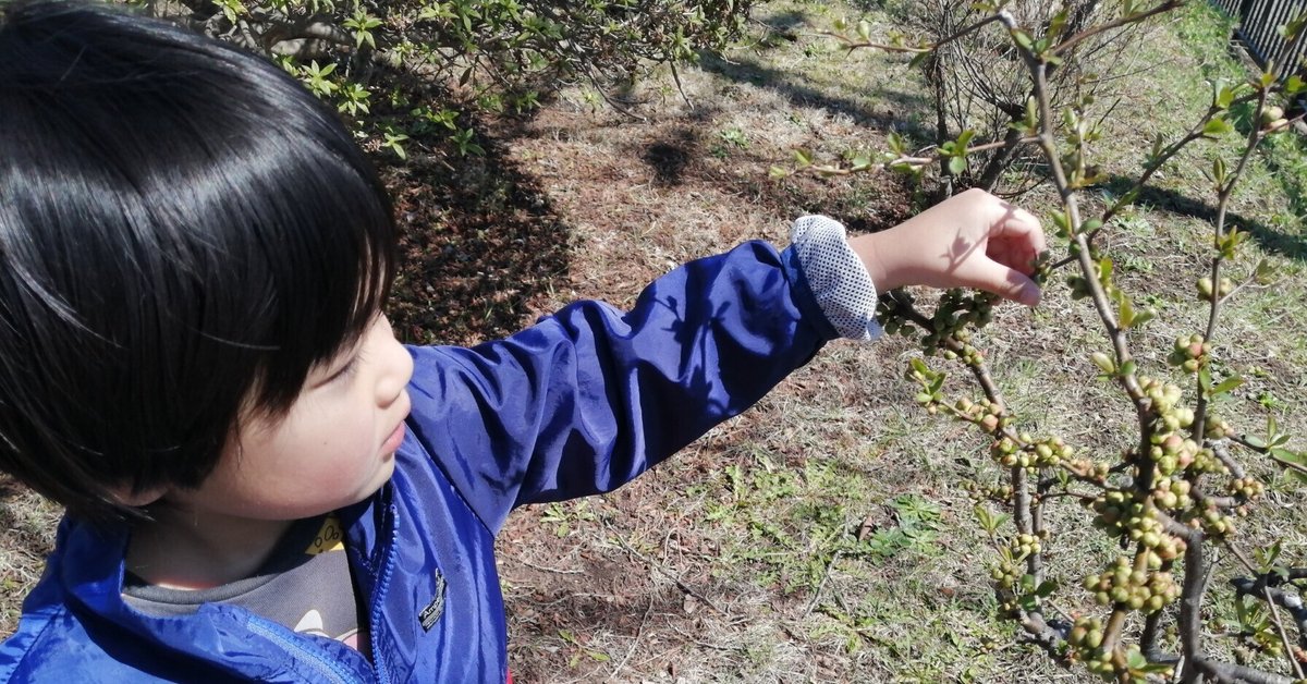幼稚部 春の遊びを楽しんでいます。|北海道函館聾学校公式note