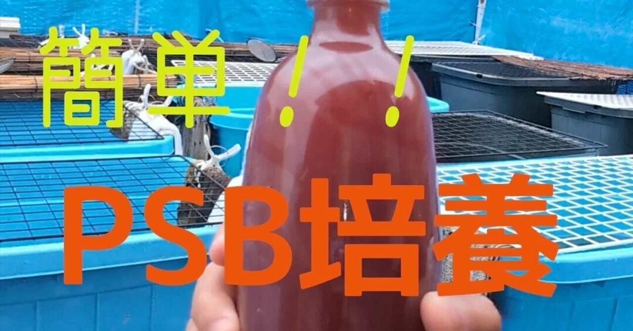 【簡単】PSBの作り方！！｜さんぽ