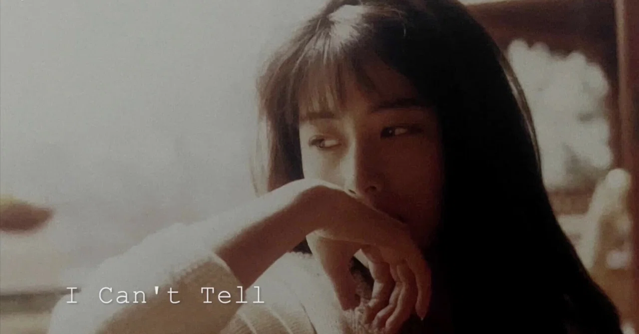 故 ZARD 坂井泉水さんの顔研究 その3｜dZARD Cing