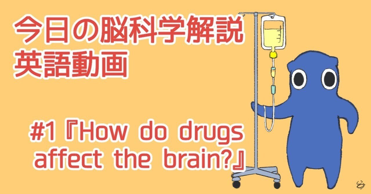 今日の脳科学解説英語動画#1 『How do drugs affect the brain?-Sara Garofalo』｜りす