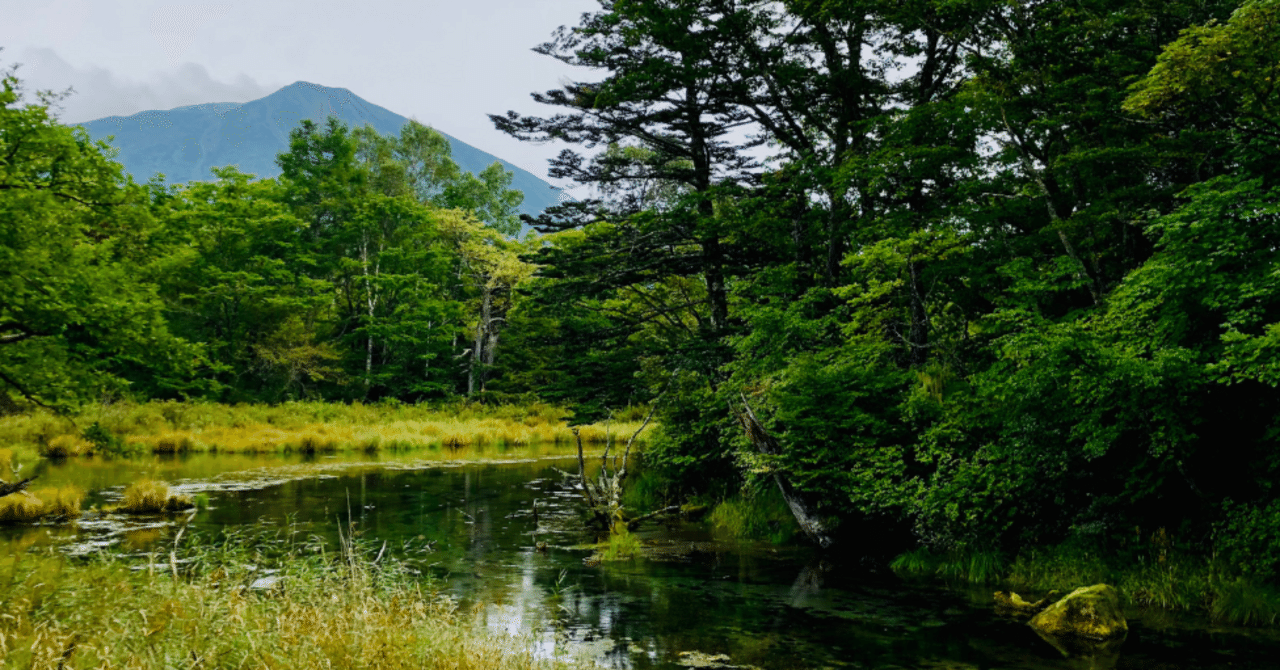 釣りと自然と、私を呼び戻す朝の空気｜Celestial Biome