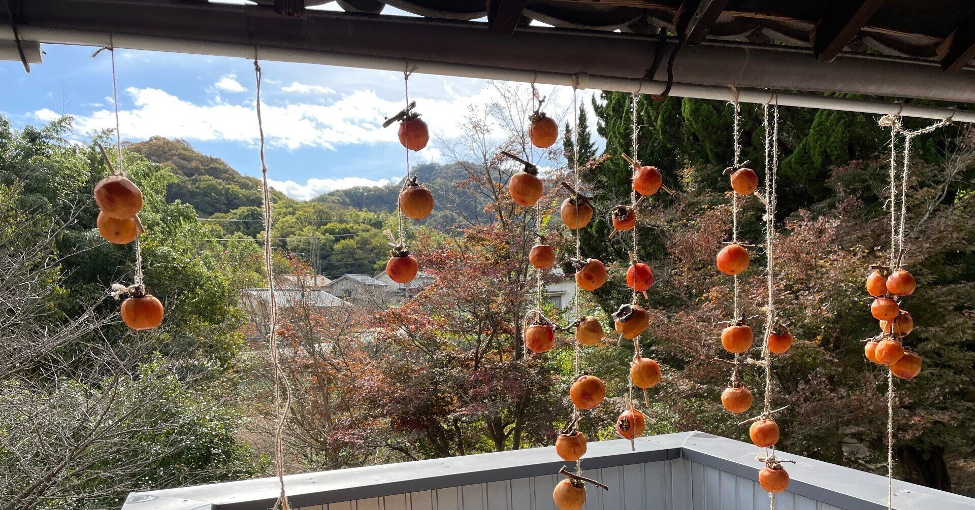 WAKU WAKU GAKKO｜note