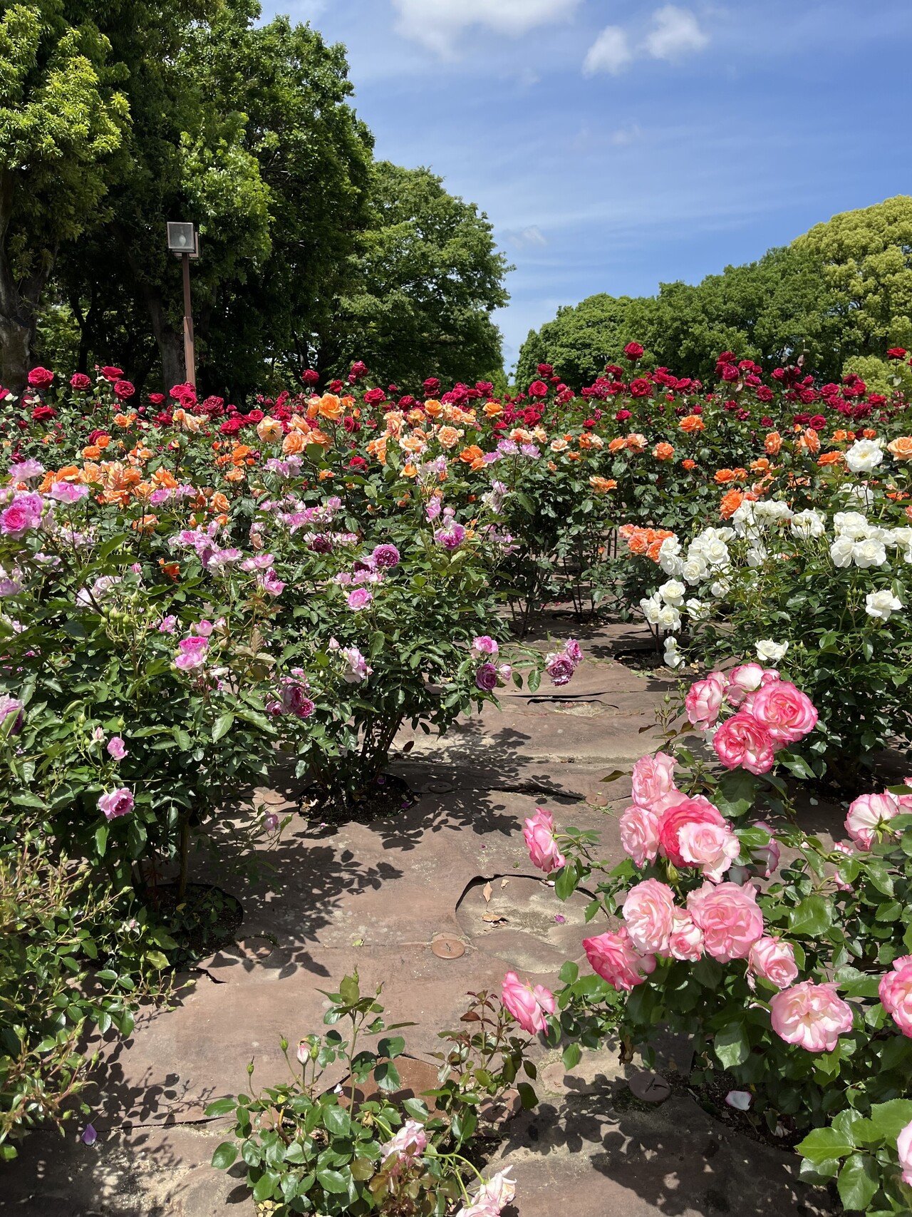 FP2級(CBT試験)学科を受けて、合格点超えたよ！これで完全合格！｜けいりさん＠経理