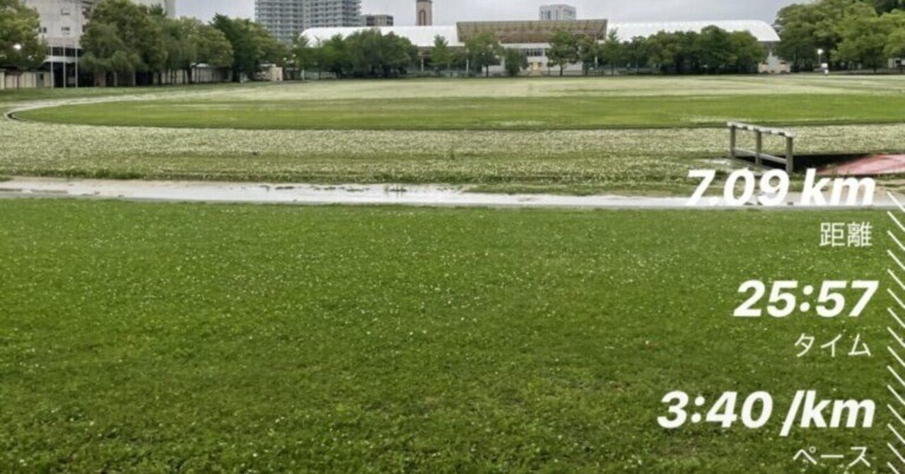 水曜二部練：朝600m×5本、夕方：400m×12本＆2024年度 全日本マラソンランキング｜テル@40代後半でマラソン自己ベスト更新目指している市民ランナー