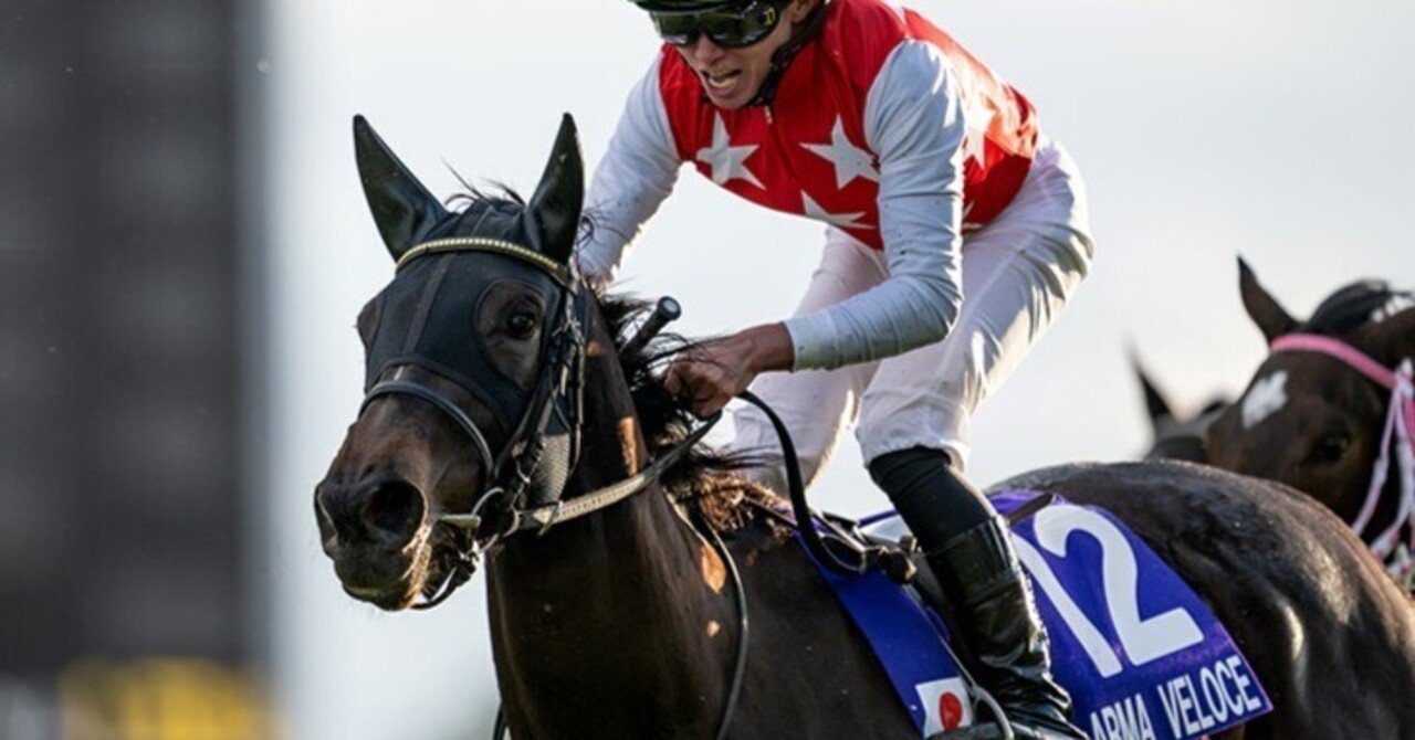 5/25 優駿牝馬 馬情報 ～アルマヴェローチェ～｜Yuto_uma