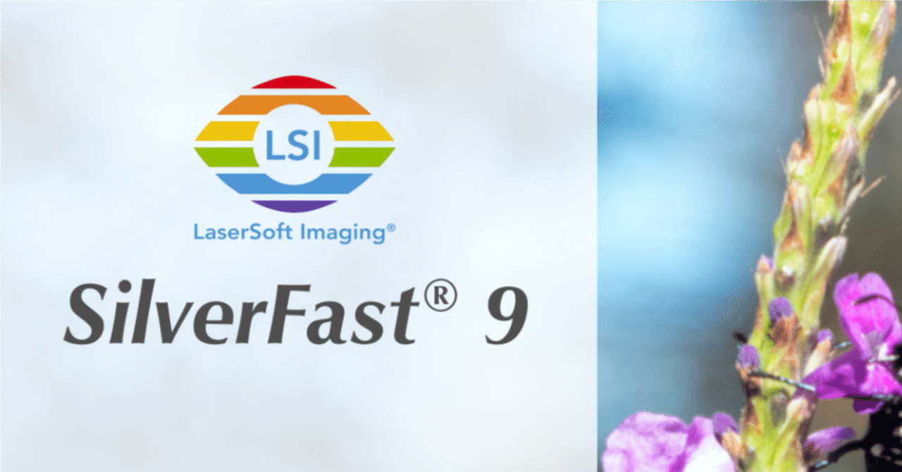 ｢大切なフィルムを､最高のかたちで残す」 SilverFast 9 Ai Studio を使ってみた ― 2｜MOJA MOJA
