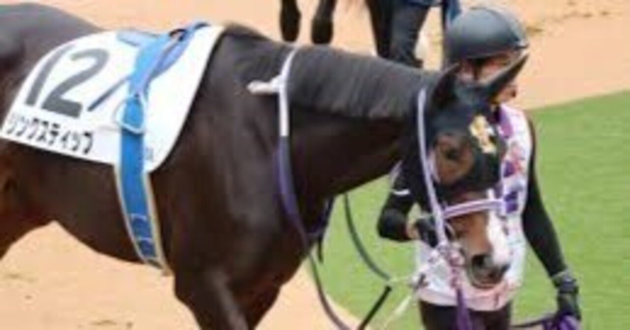 5/25 優駿牝馬 馬情報 ～リンクスティップ～｜Yuto_uma