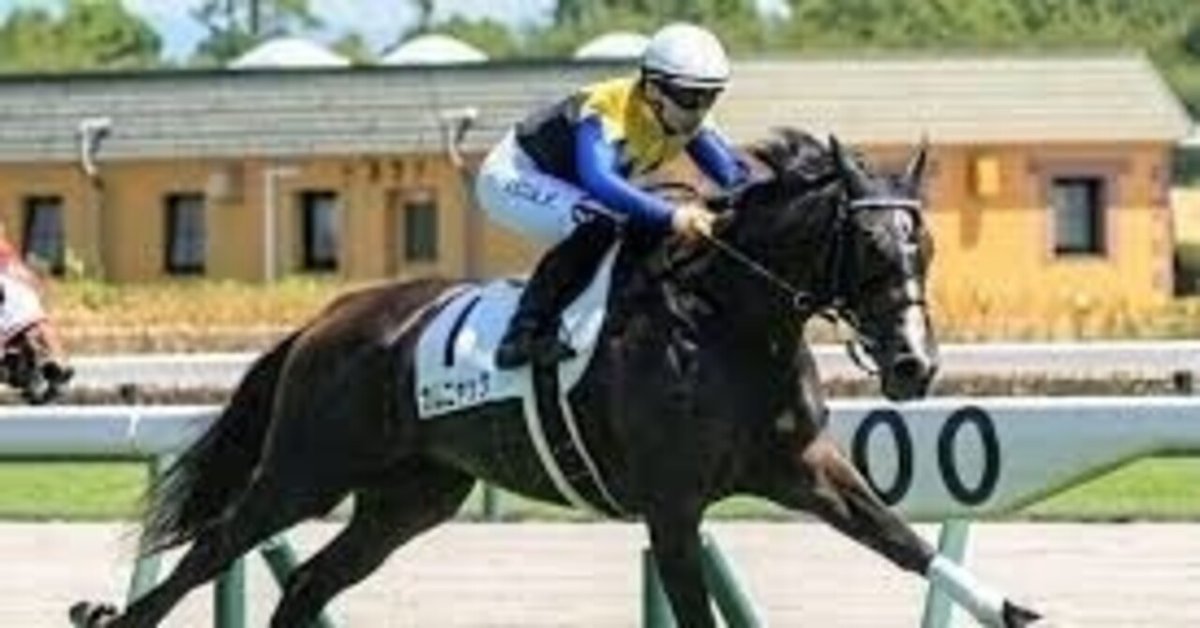 5/25 優駿牝馬 馬情報 ～カムニャック～｜Yuto_uma