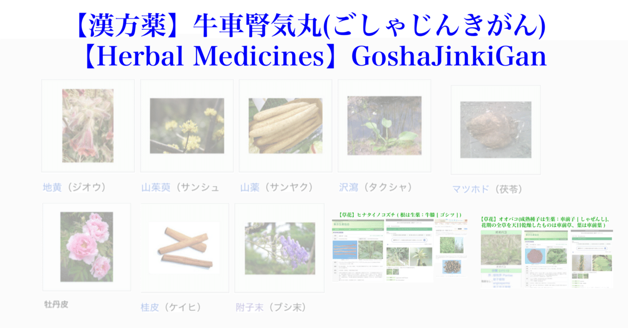 【漢方薬】牛車腎気丸(ごしゃじんきがん) 【Herbal Medicines】GoshaJinkiGan｜200im