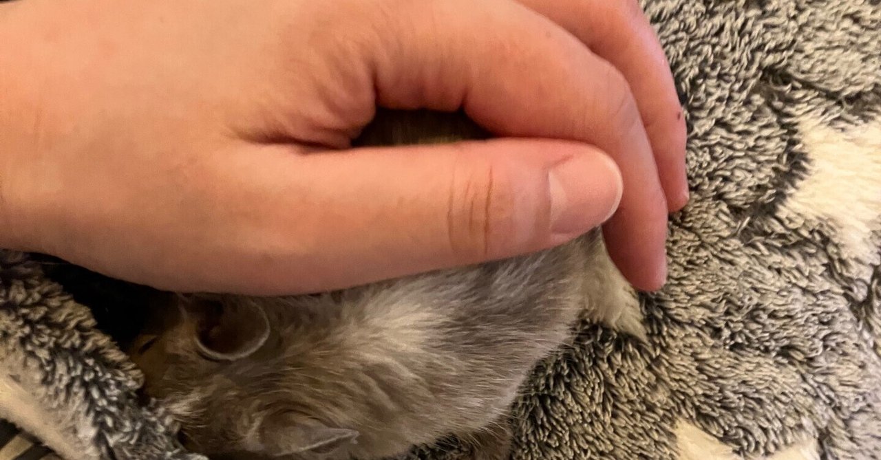 【5-0523】フレル日｜要 小飴