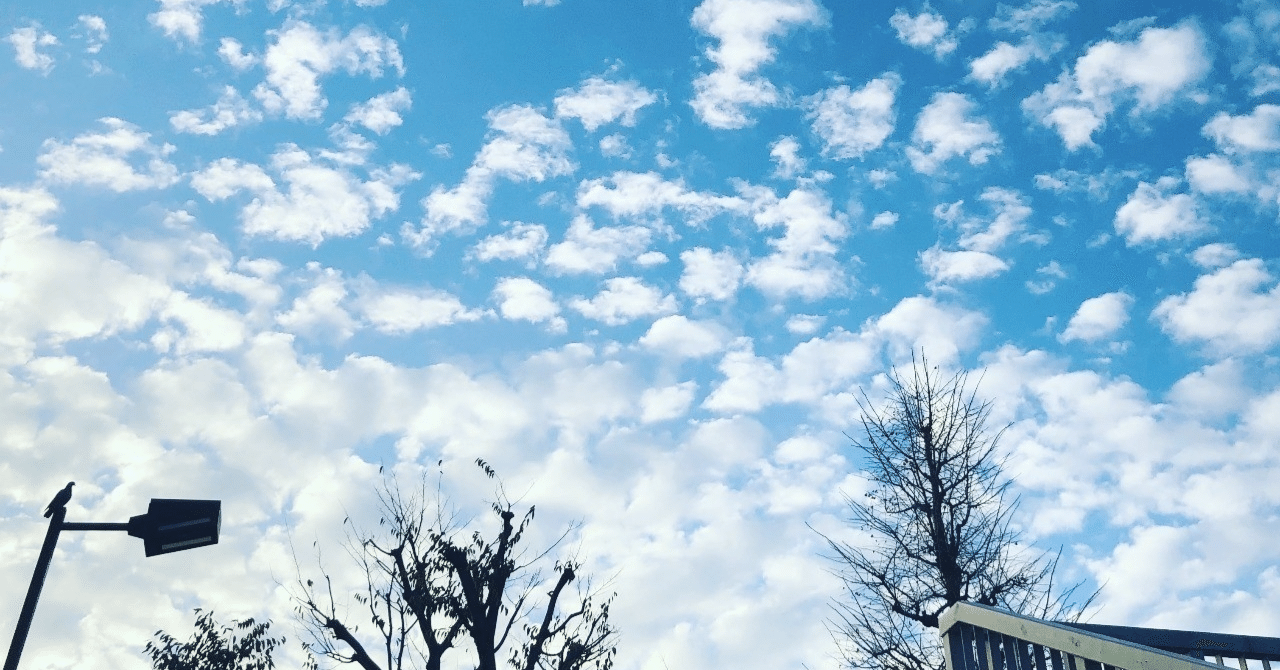 ＃1 業界について知る｜ayana