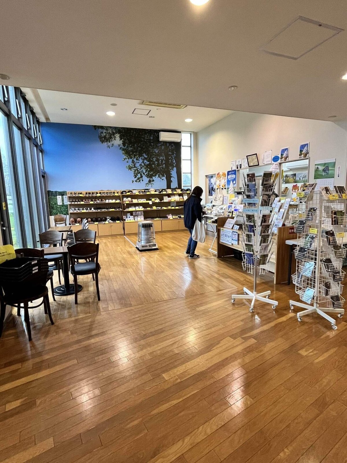 馬旅レポート①｜→AKIRARIKA←