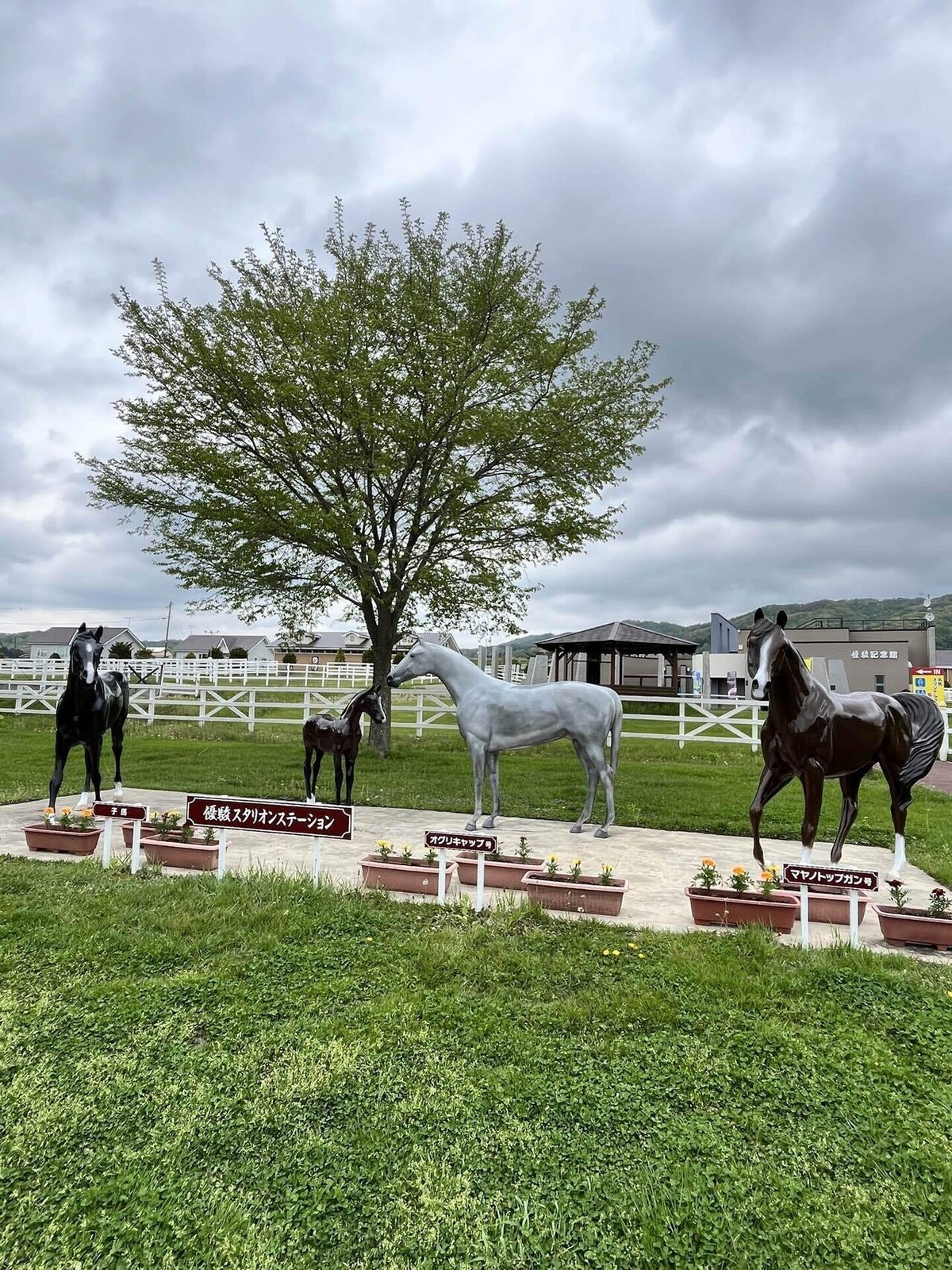 馬旅レポート①｜→AKIRARIKA←