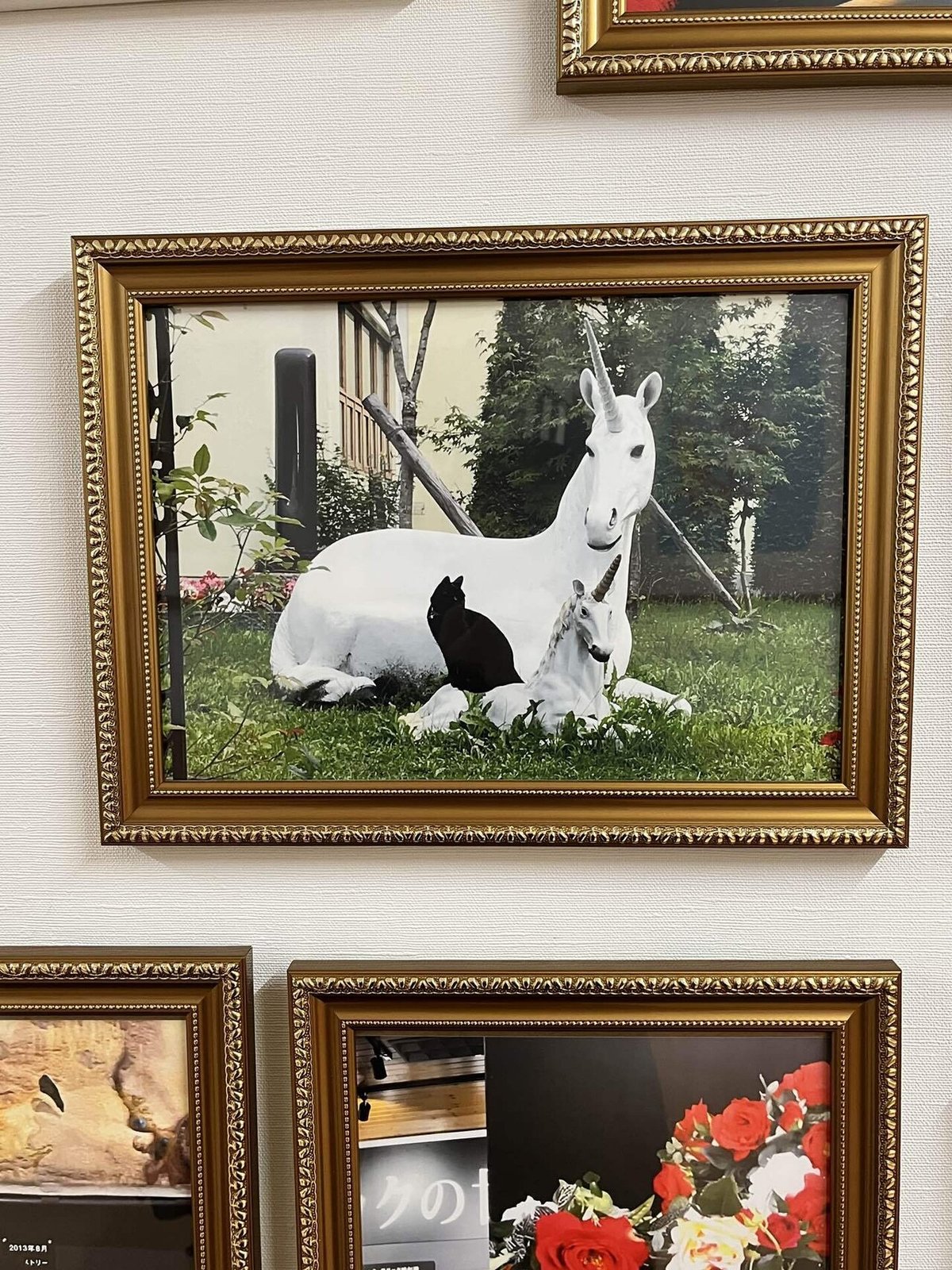 馬旅レポート②｜→AKIRARIKA←