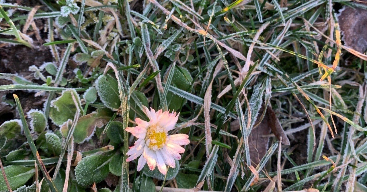 研究スタイル｜umbell