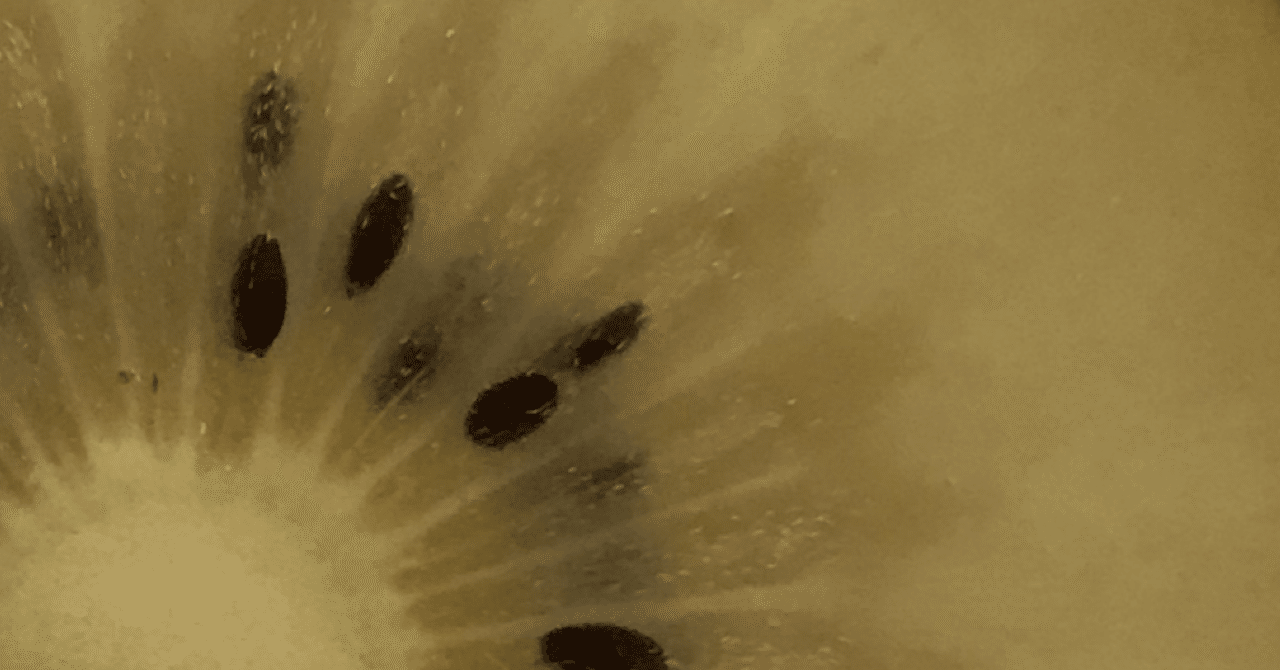 自己紹介|あなたを占いたい|はじめてのnote｜Kiwi