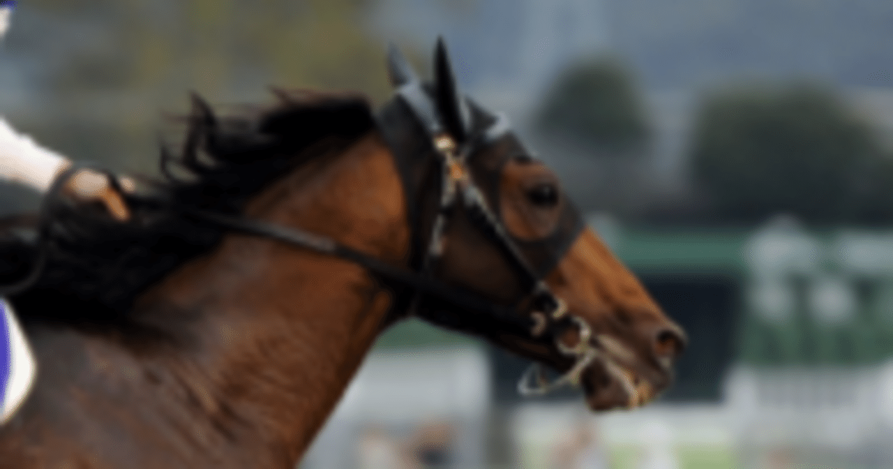 JRA中央競馬5/24(土)東京8R｜フジタカ