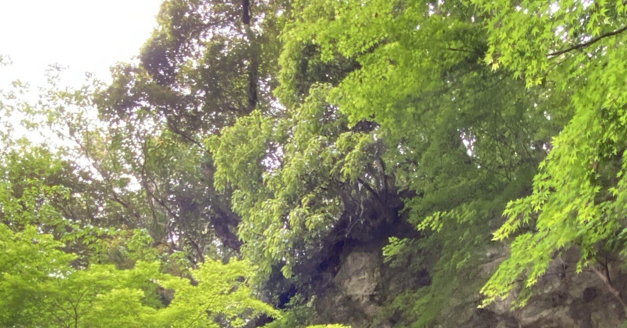 焦りと向き合う｜cochimi chan