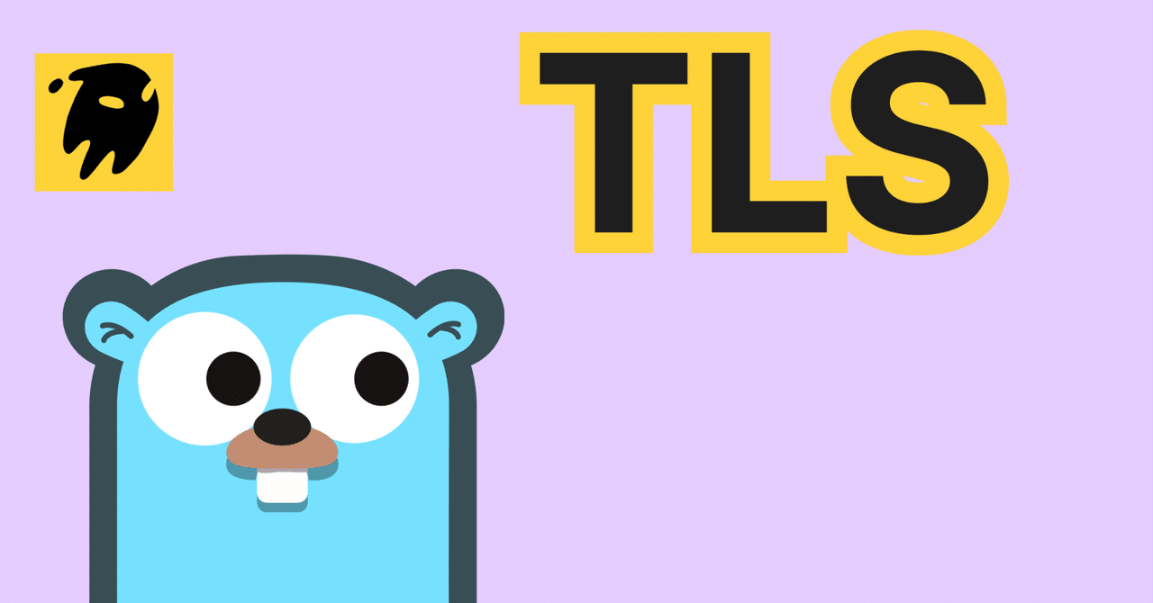 Go言語でのTLSを徹底解説：全体の流れを一気に把握｜Leapcell