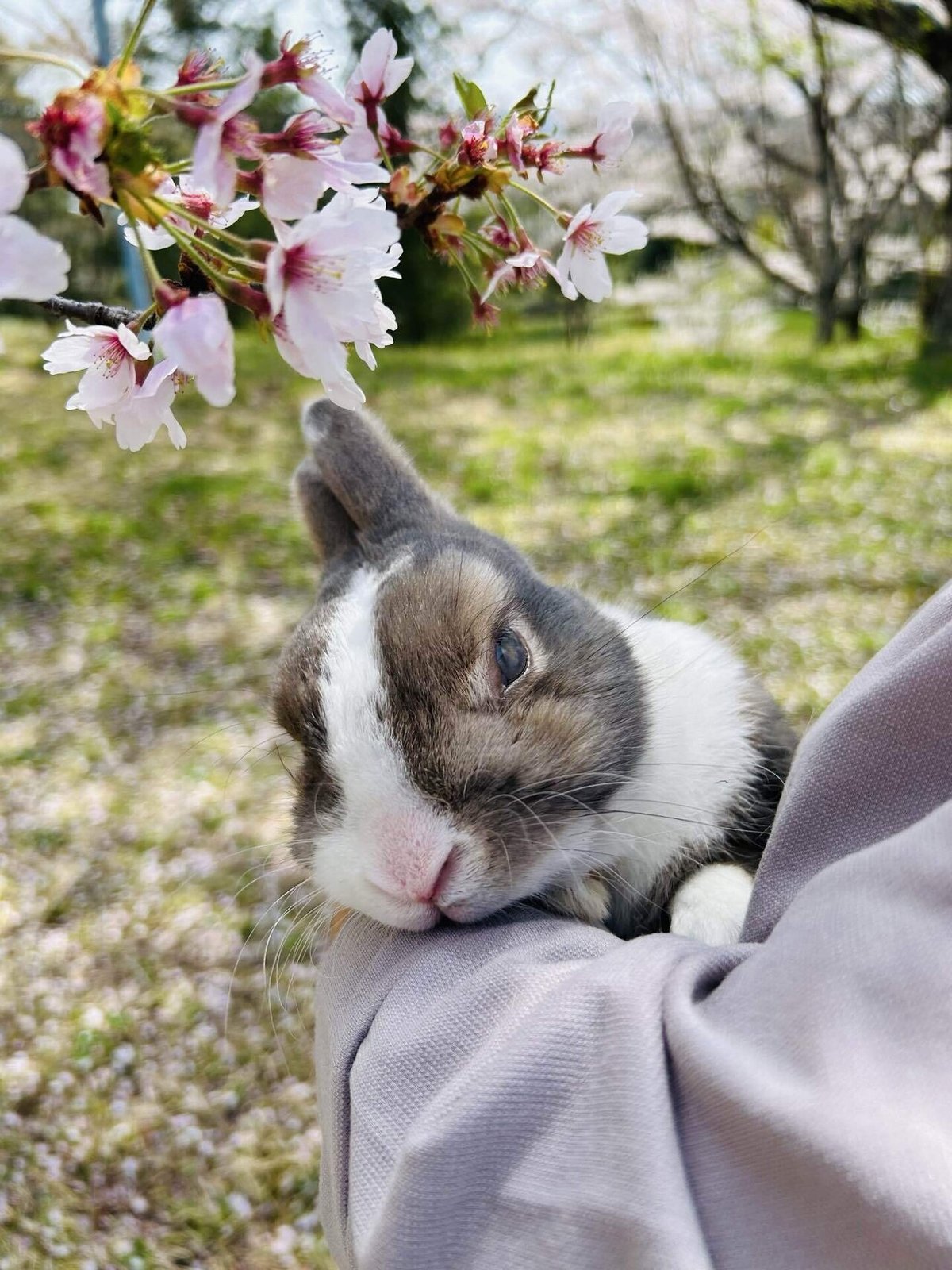 心から愛してる🐰🌈｜Hakuto Eiko