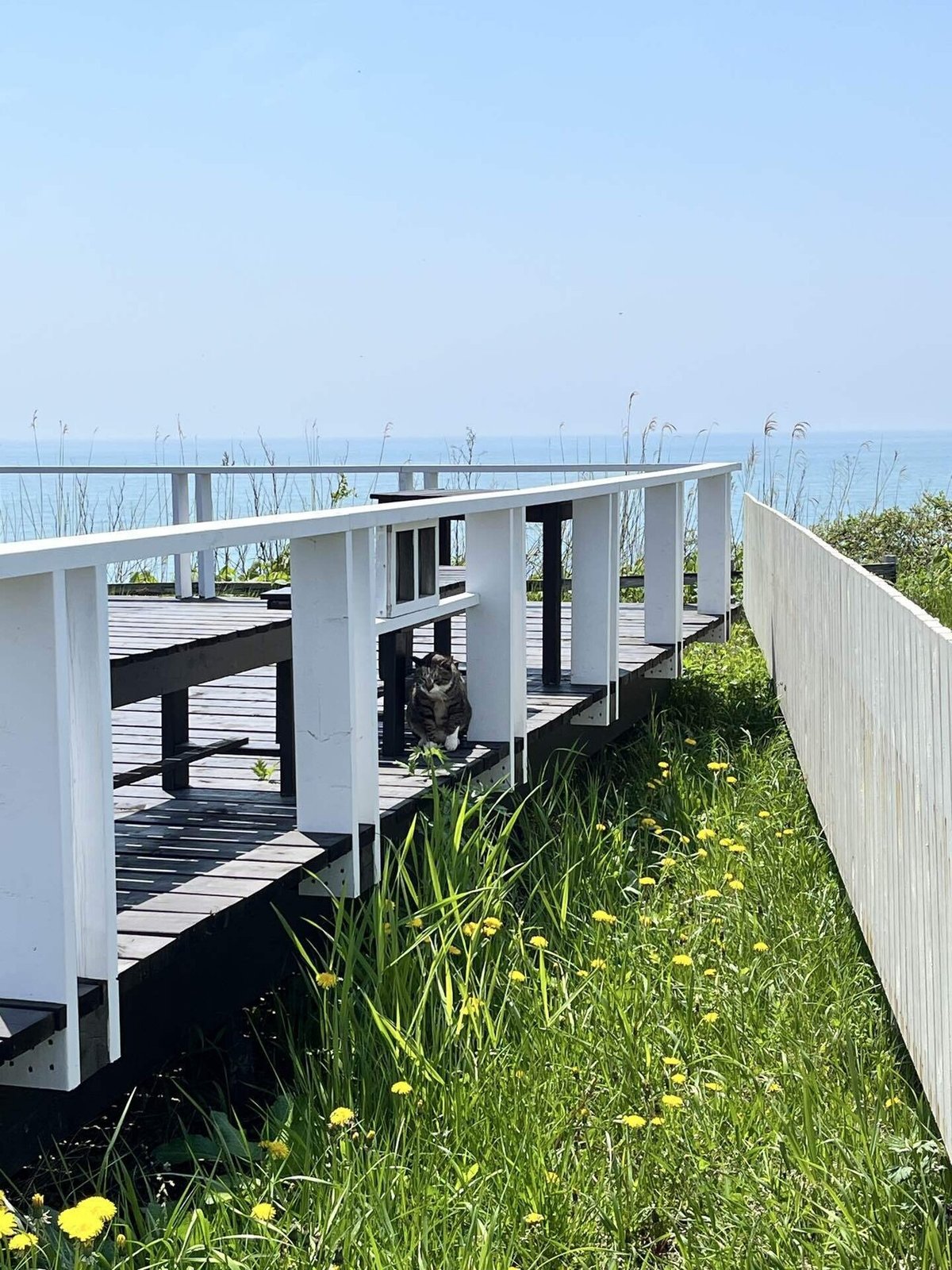 馬旅レポート③｜→AKIRARIKA←