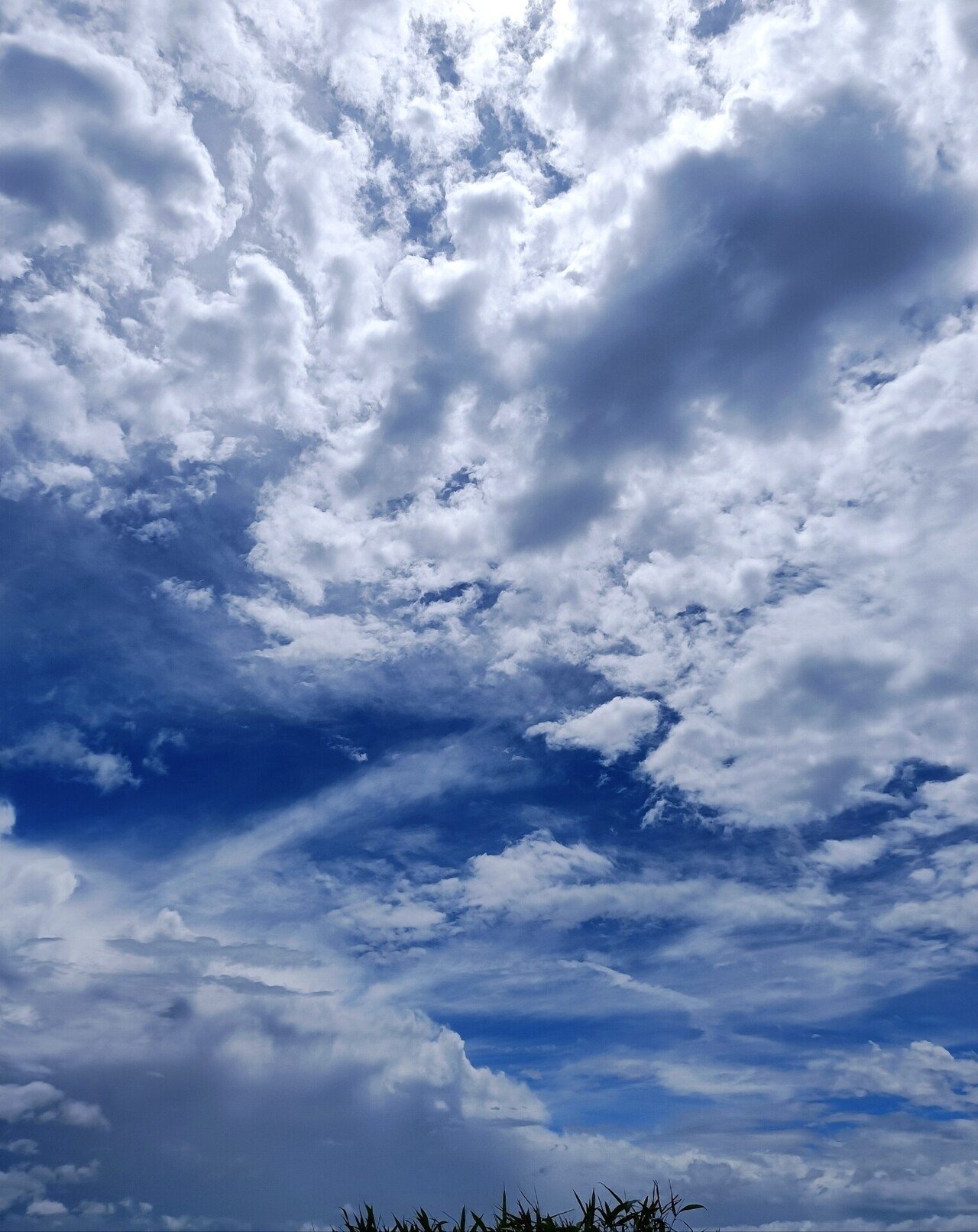 『あをいろ』と『しろ』｜sora_purecolor