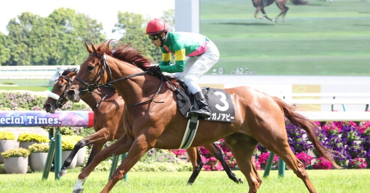 5/25 優駿牝馬 馬情報 ～タガノアビー～｜Yuto_uma